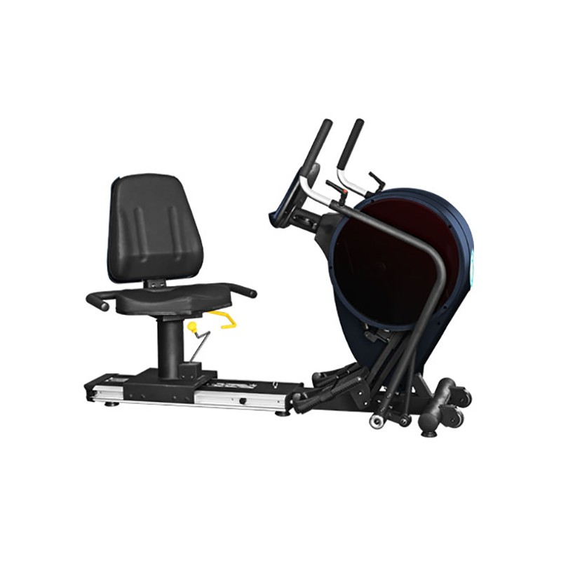 Dual Action Recumbent Stepper Pro