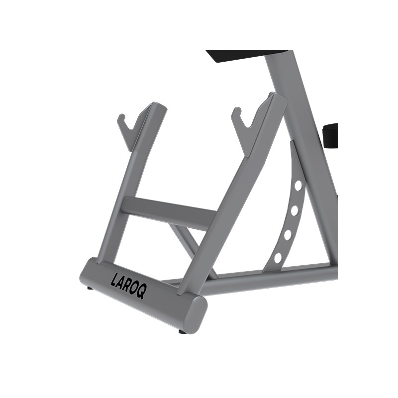 Biceps Bench