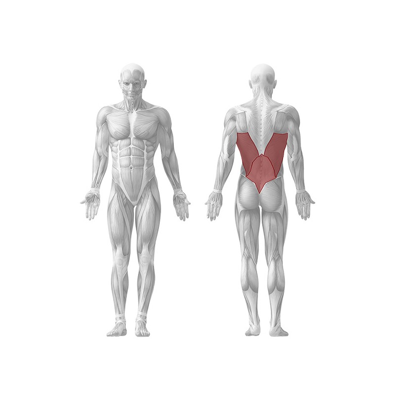 Incline Back Extension Bench