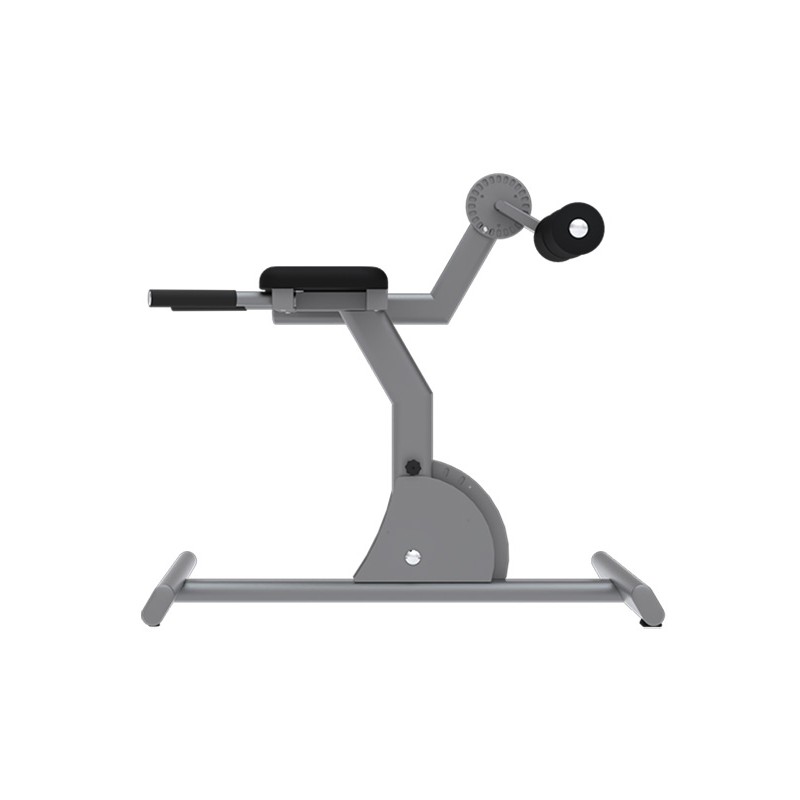 Incline Back Extension Bench