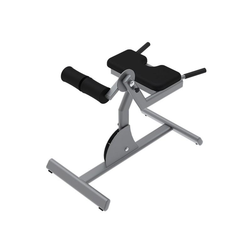 Incline Back Extension Bench