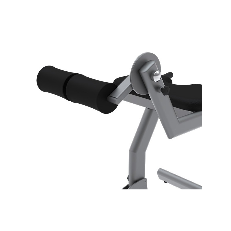 Incline Back Extension Bench