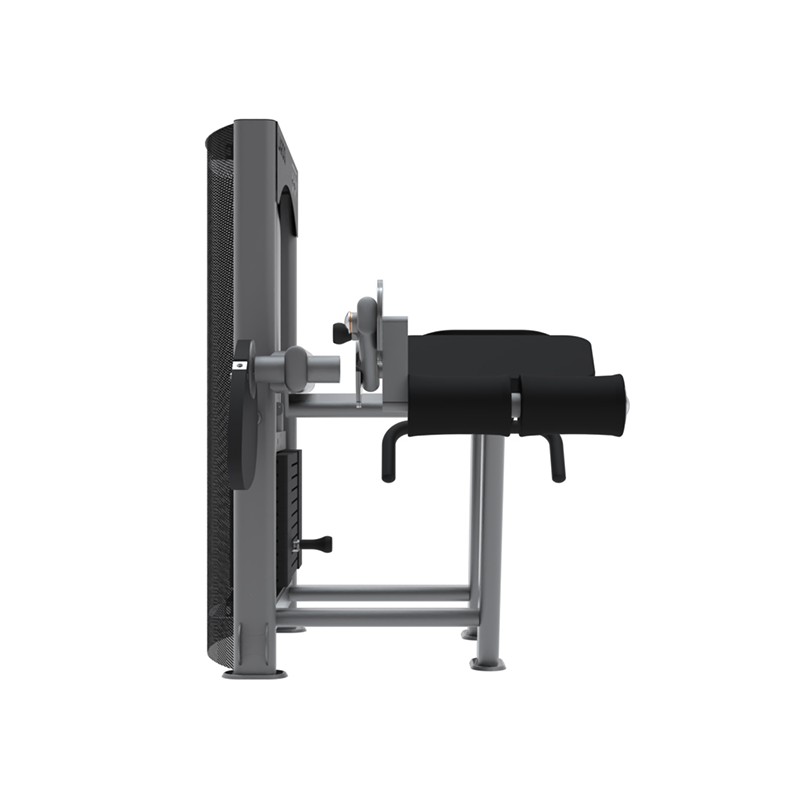 Tannac Lying Leg Curl with ROM