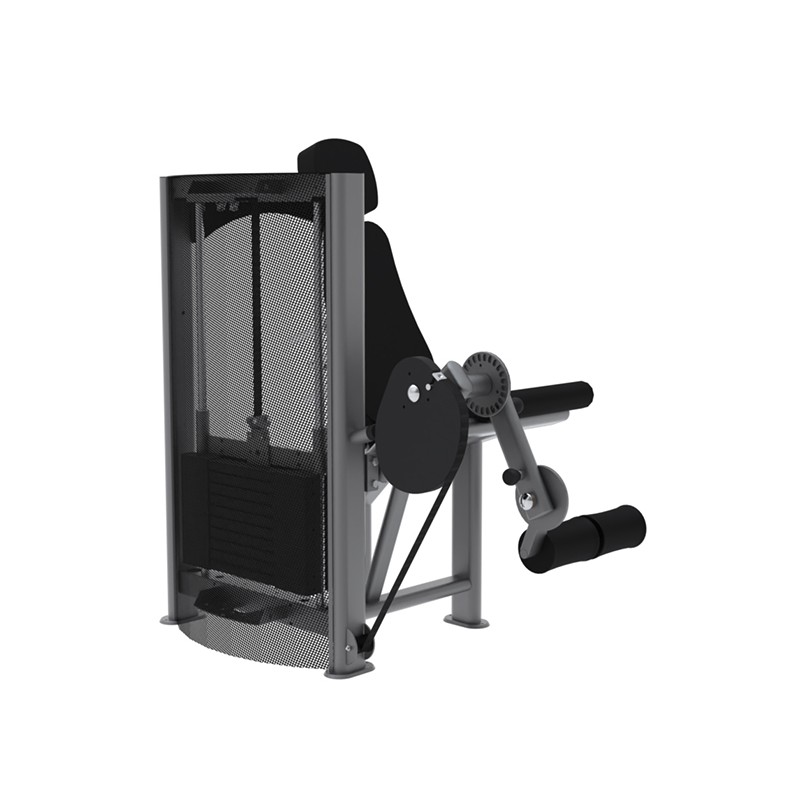 Tannac Quadriceps/ Leg Extension with ROM